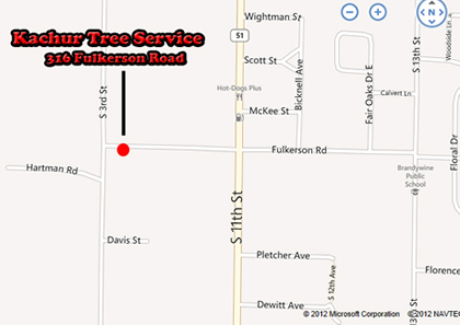 Contact – Kachur Tree Service