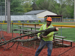 Free Estimate – Kachur Tree Service