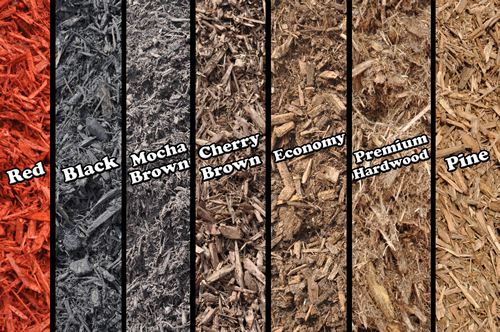 Mulch – Kachur Tree Service