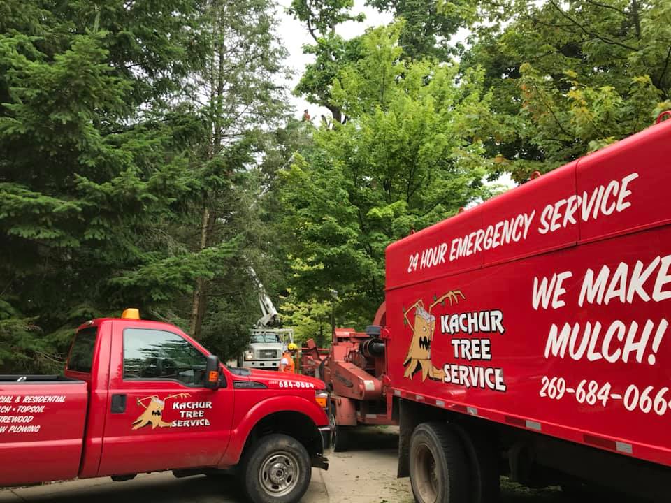 Gallery – Kachur Tree Service