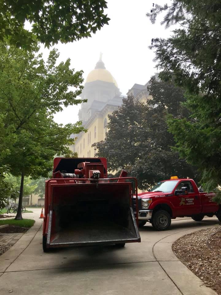 Gallery – Kachur Tree Service