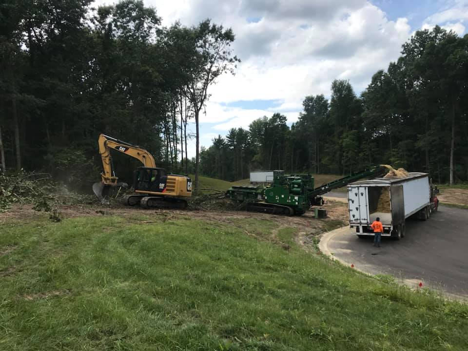 Gallery – Kachur Tree Service