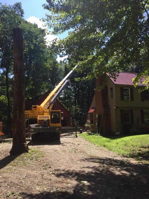 Gallery – Kachur Tree Service