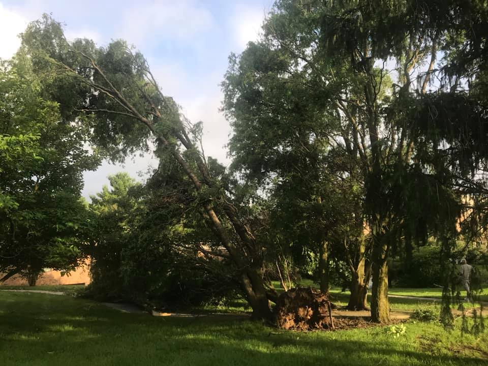 Gallery – Kachur Tree Service