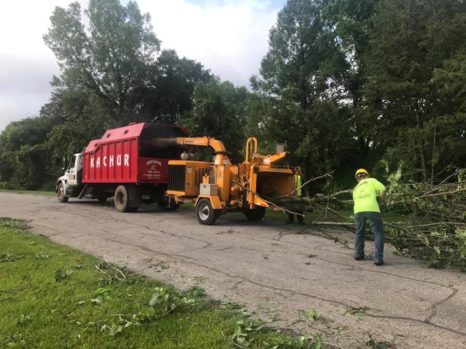 Gallery – Kachur Tree Service