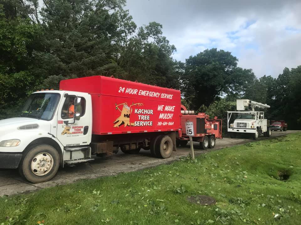 Gallery – Kachur Tree Service