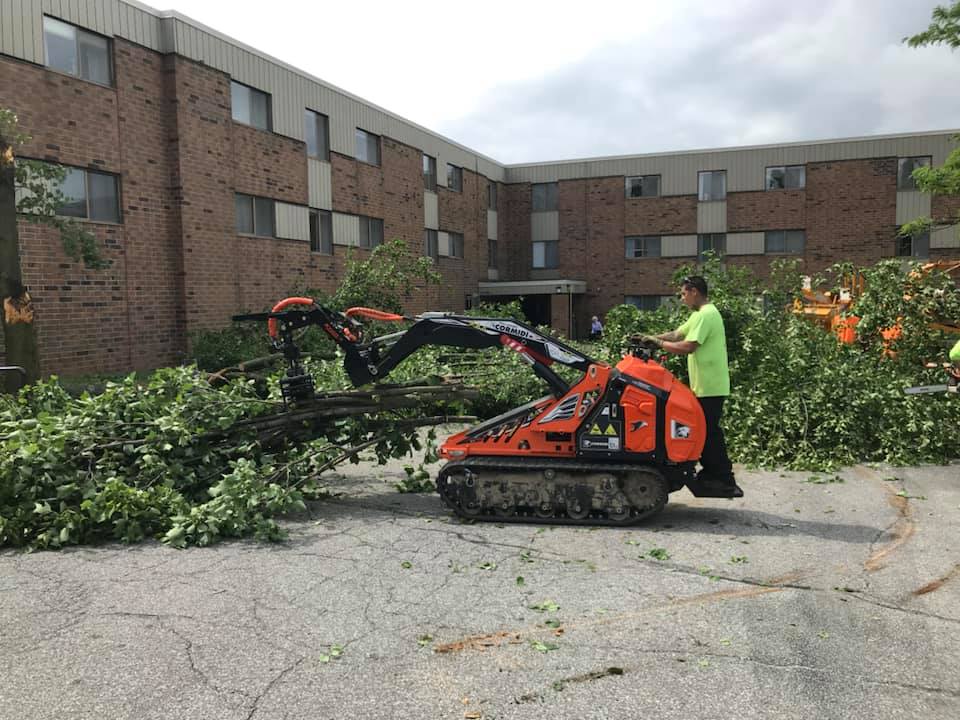 Gallery – Kachur Tree Service